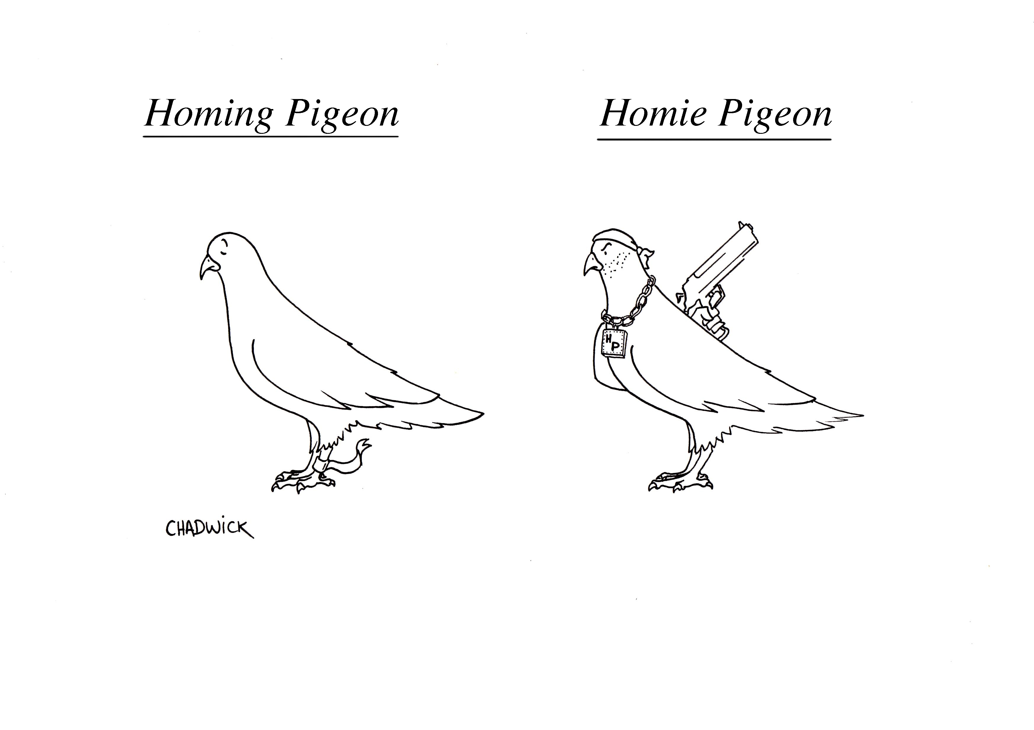 cartoons – Jack Chadwick